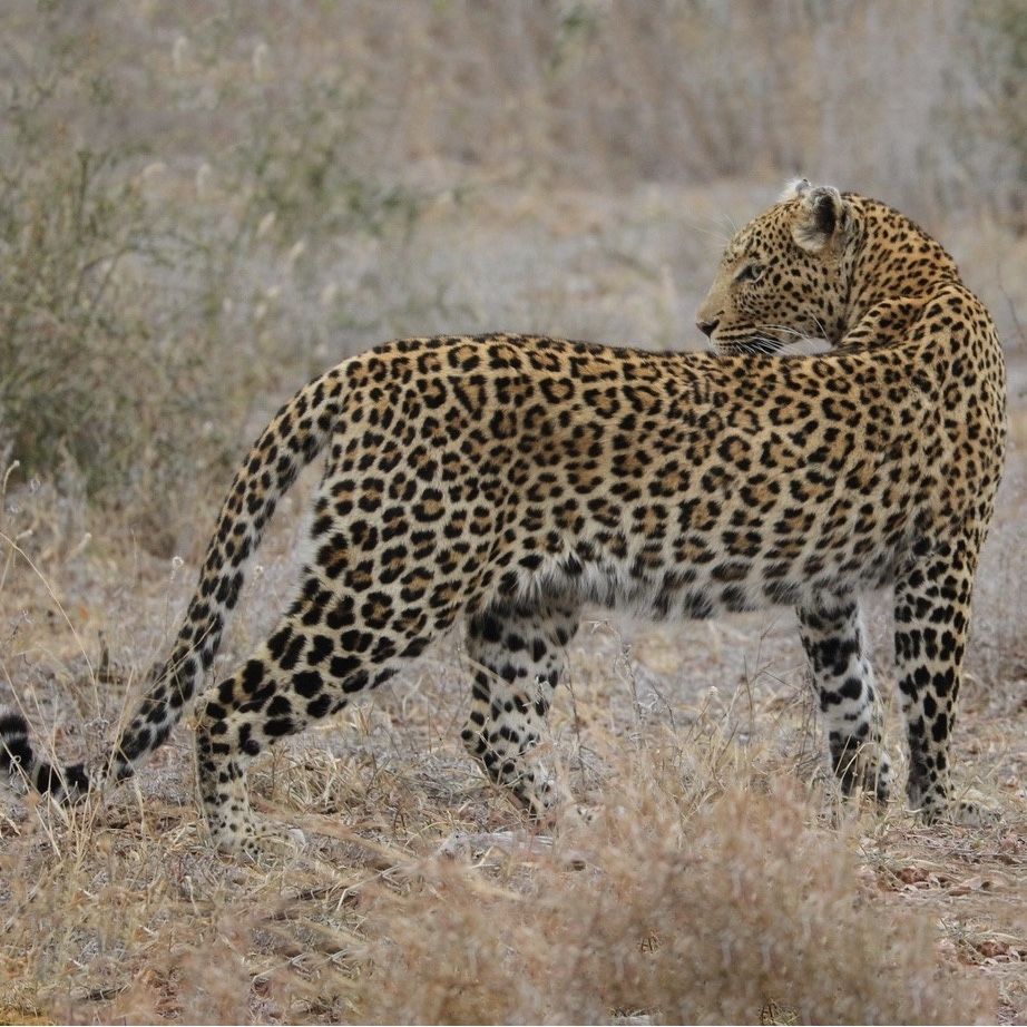 Special Spots – Wildlife4Kids